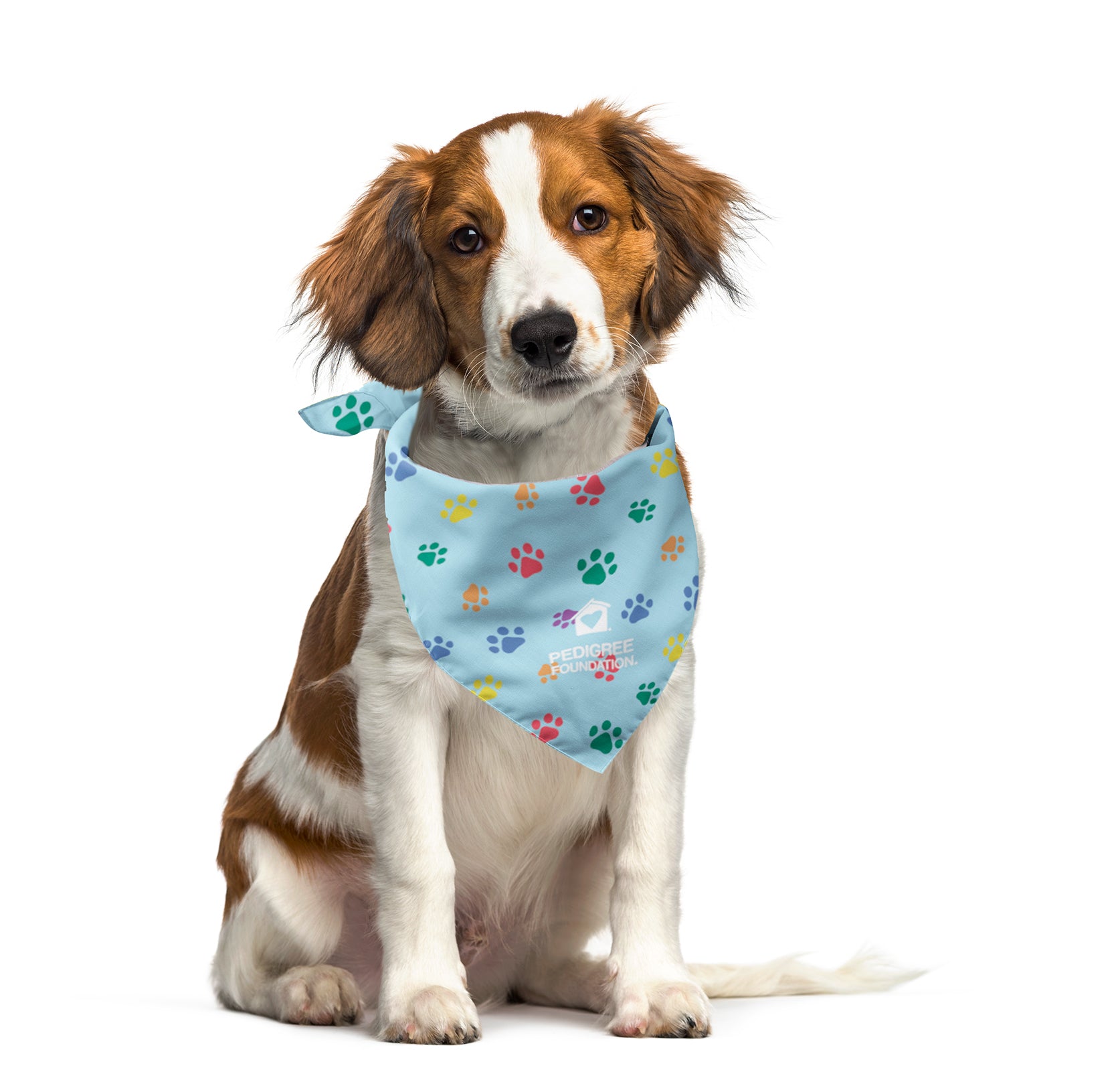 PRIDE Paws Pup Bandana – Pedigree Foundation Dogs rule store